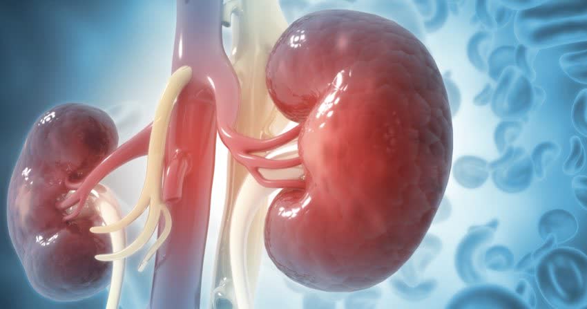 Comprendere gli stadi dell'insufficienza renale cronica