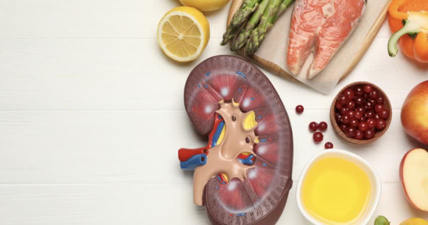 Insufficienza renale e creatinina alta: il ruolo della dieta