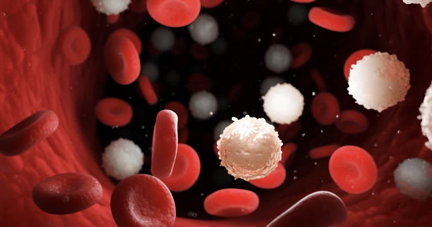 Leucemia mieloide acuta: sintomi, diagnosi e terapie